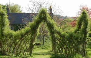 12 Beautiful Living Fences For Your Garden – Page 2 – DIY CREATED