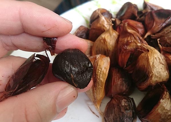 How To Make Your Own Black Garlic And It’s Incredible Health Benefits ...