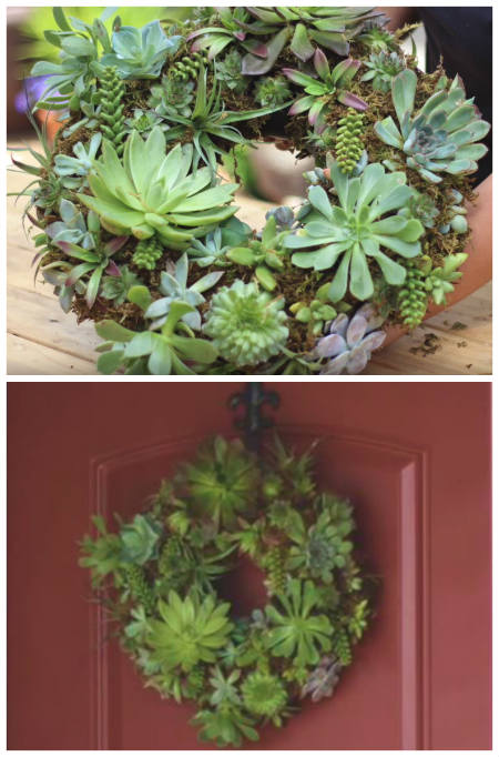 How To Make A Succulent Wreath – DIY CREATED